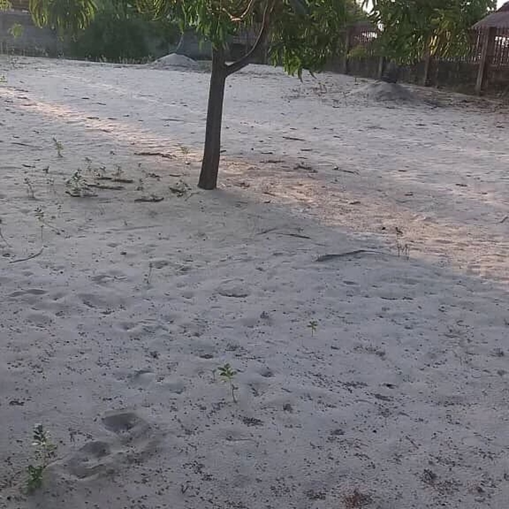 BEACH PLOT FOR SALE AT UNUNIO BEACH | Kupatana