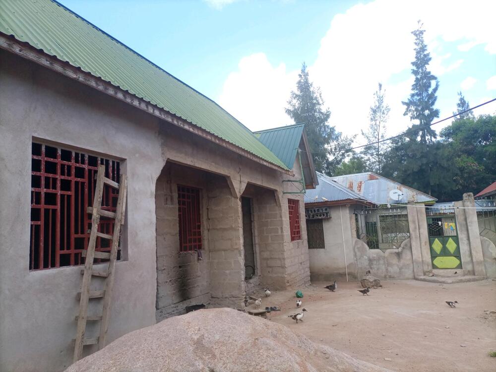 Mwanza nyangomango | Kupatana