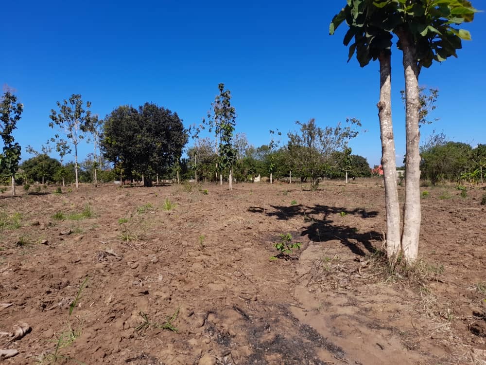 plot for sale at mapinga mingoi area | Kupatana