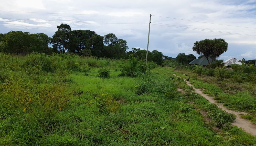 Kerege Bagamoyo Plots Availabl | Kupatana