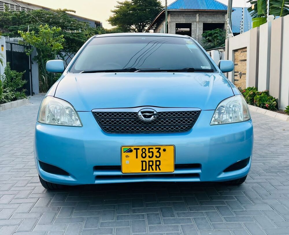 Runx 2003 | Kupatana