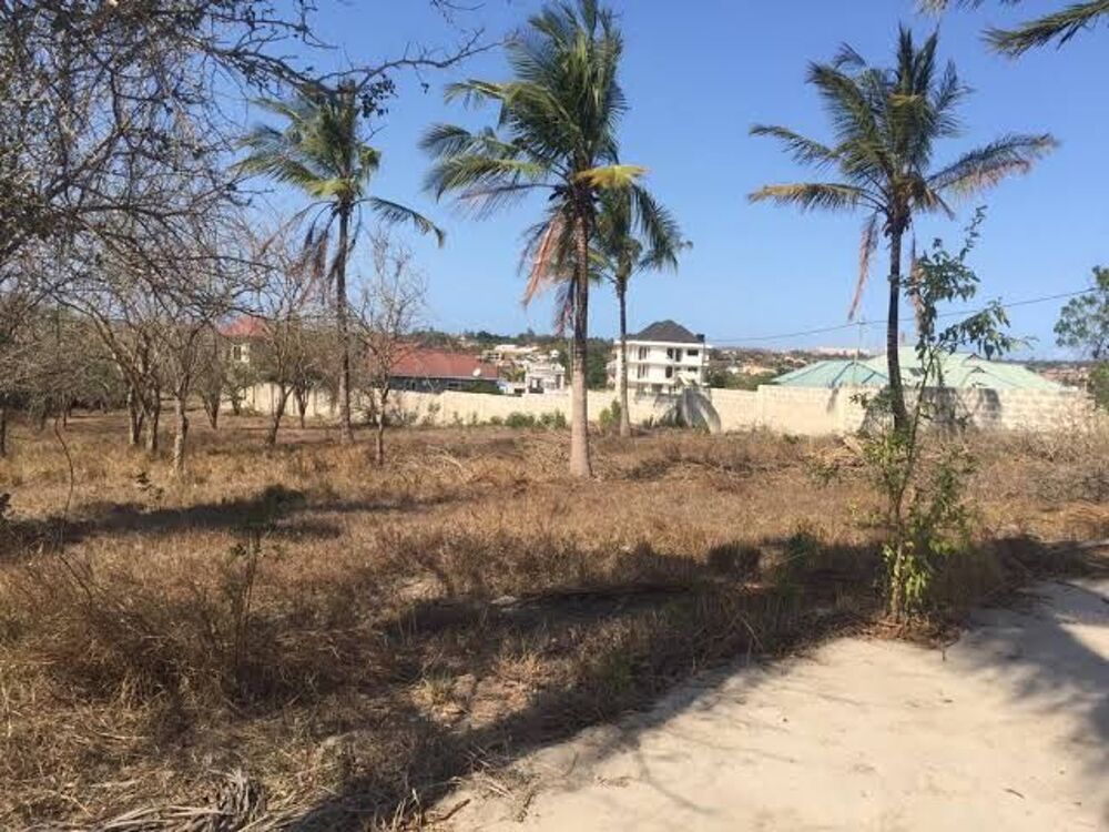 Kiwanja Magole Dsm | Kupatana