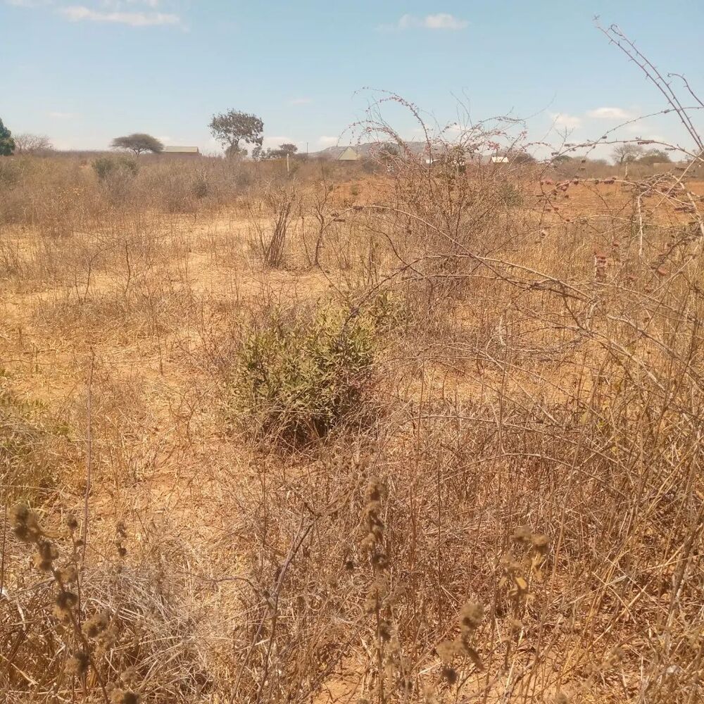 Viwanja udom | Kupatana