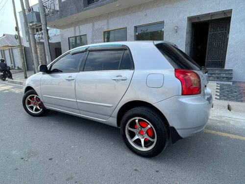 Runx allex | Kupatana