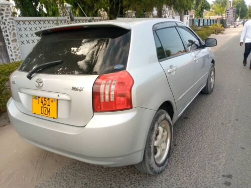 Runx allex | Kupatana