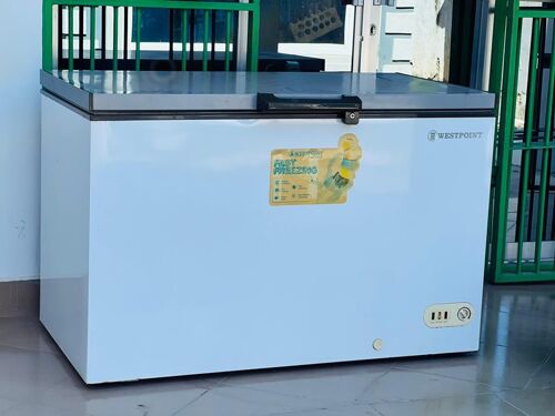 Westpoint freezer 400L | Kupatana