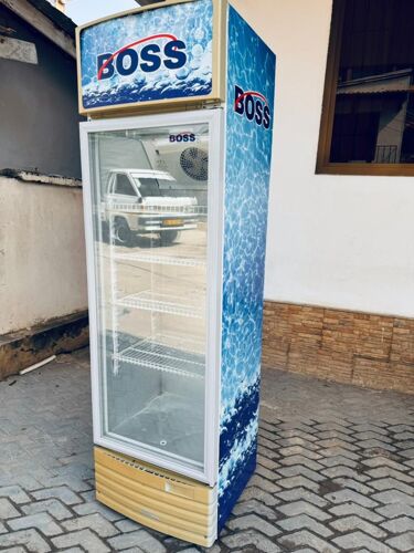 BOSS DISPLAY FRIDGE NZURI 260L | Kupatana