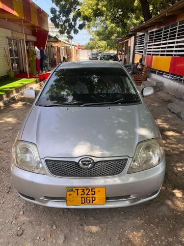 Runx allex | Kupatana