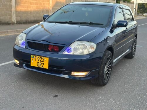 Runx allex | Kupatana