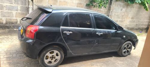 Runx allex | Kupatana