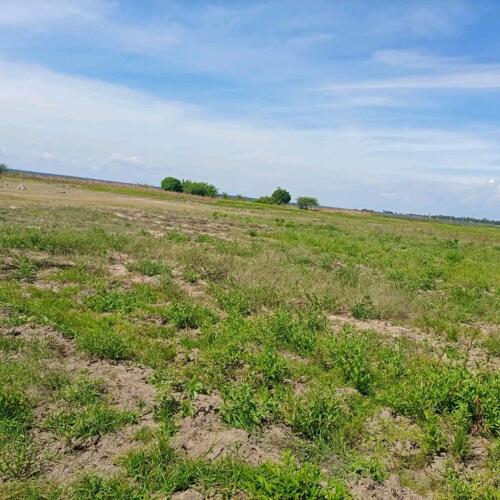 MWANZA NYANGUGE | Kupatana