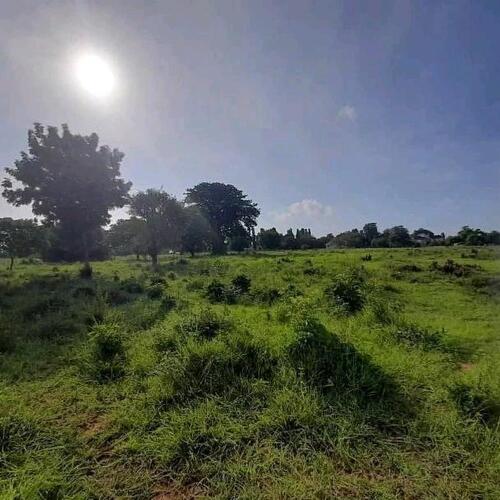For sale | Kupatana