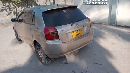 Runx allex | Kupatana