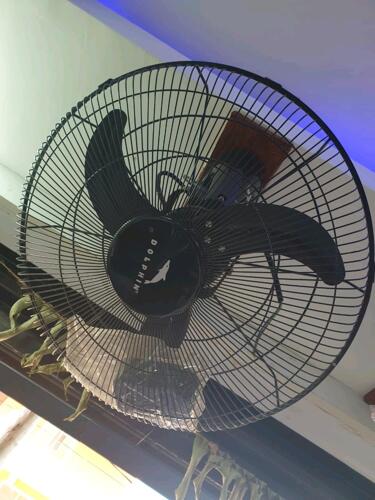 DOLPHIN FAN | Kupatana