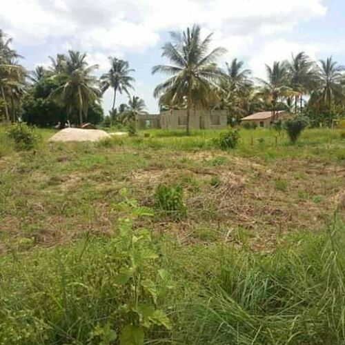 Viwanja goba vinauzwa | Kupatana