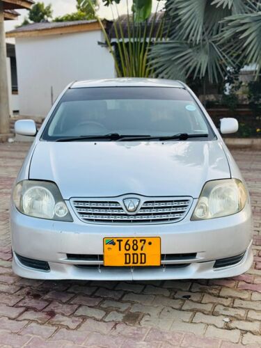 Allex runx | Kupatana