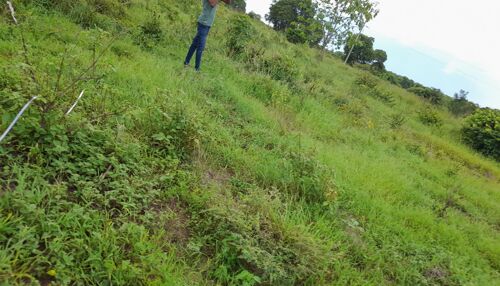 Kerege Bagamoyo Plots Availabl | Kupatana