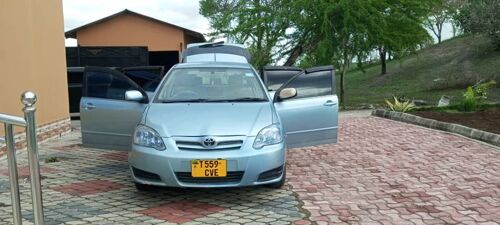 Runx allex | Kupatana