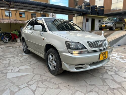 Harrier old model DNA | Kupatana