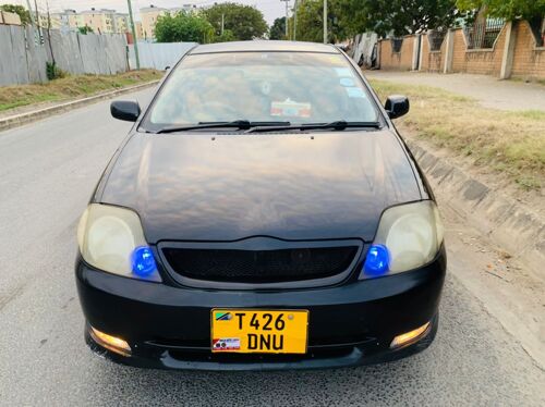 Runx cc1490 full documents | Kupatana