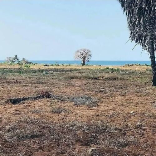 MBWENI BEACH PLOTS | Kupatana
