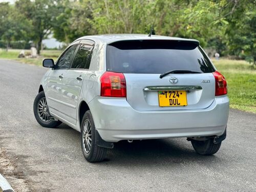 Allex runx | Kupatana